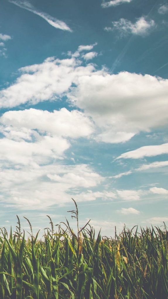 NexTrace - NexYst 360